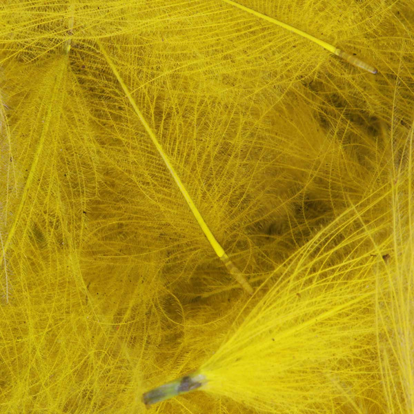 FFGene CDC Color Jambo Pack - 1 gr Olive Blue Dun | Fly Tying ...