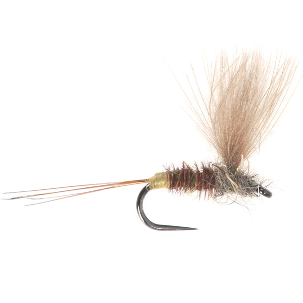 No Hackle Pheasant tail #18 BL | Fishing Flies \ Dry Fly \ Dry Fly CDC ...