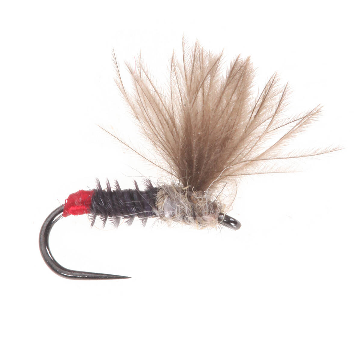 No Hackle Black Quill #20 BL | Fishing Flies \ Dry Fly \ Dry Fly CDC ...