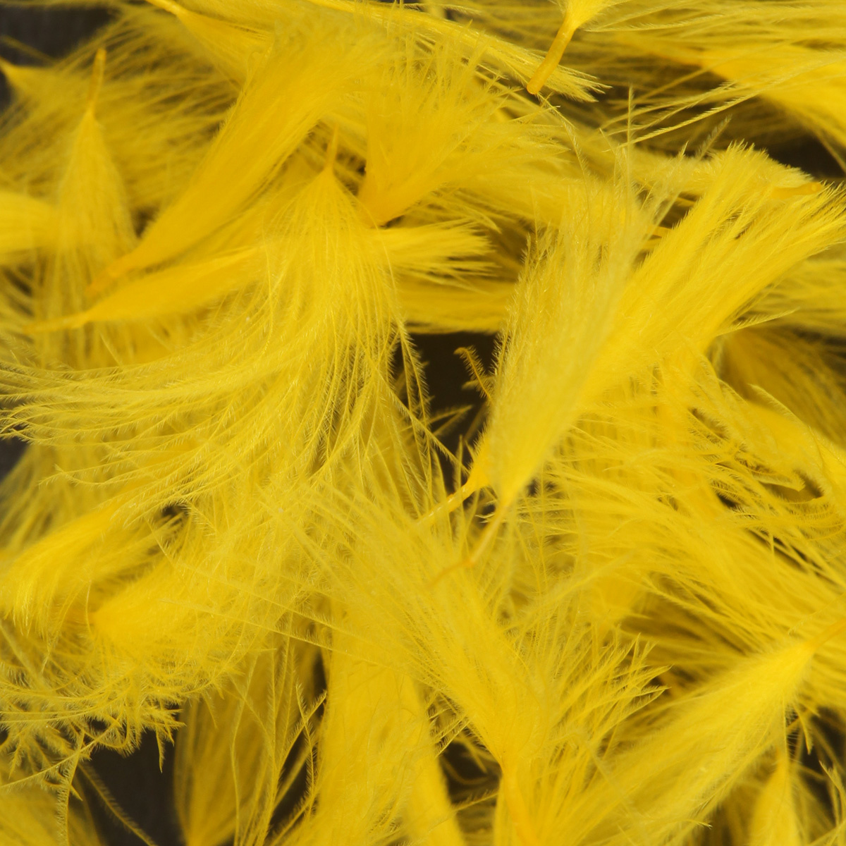 Wapsi CDC Puffs Light Yellow | Fly Tying \ Feathers \ CDC | Taimen