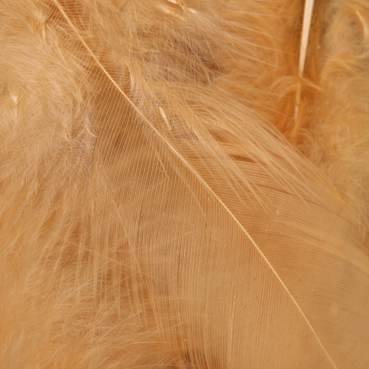 Wapsi White Matuka Soft Hackle Tan | Fly Tying \ Feathers \ Feathers ...