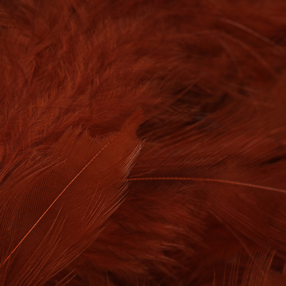 Wapsi White Matuka Soft Hackle Brown | Fly Tying \ Feathers \ Feathers ...